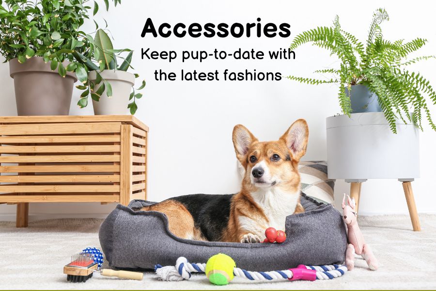 Dog Bowls | The Woof Club