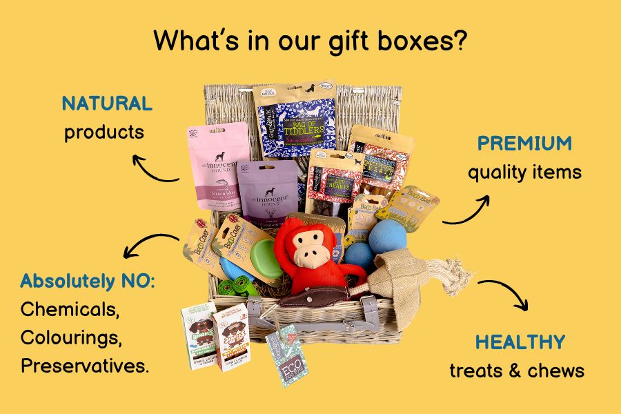 Special Occasion Boxes | The Woof Club