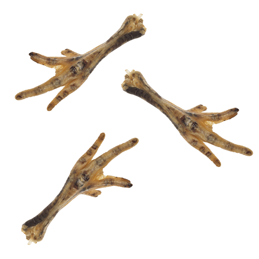 Chicken Feet for Dogs (5pc) – The Woof Club