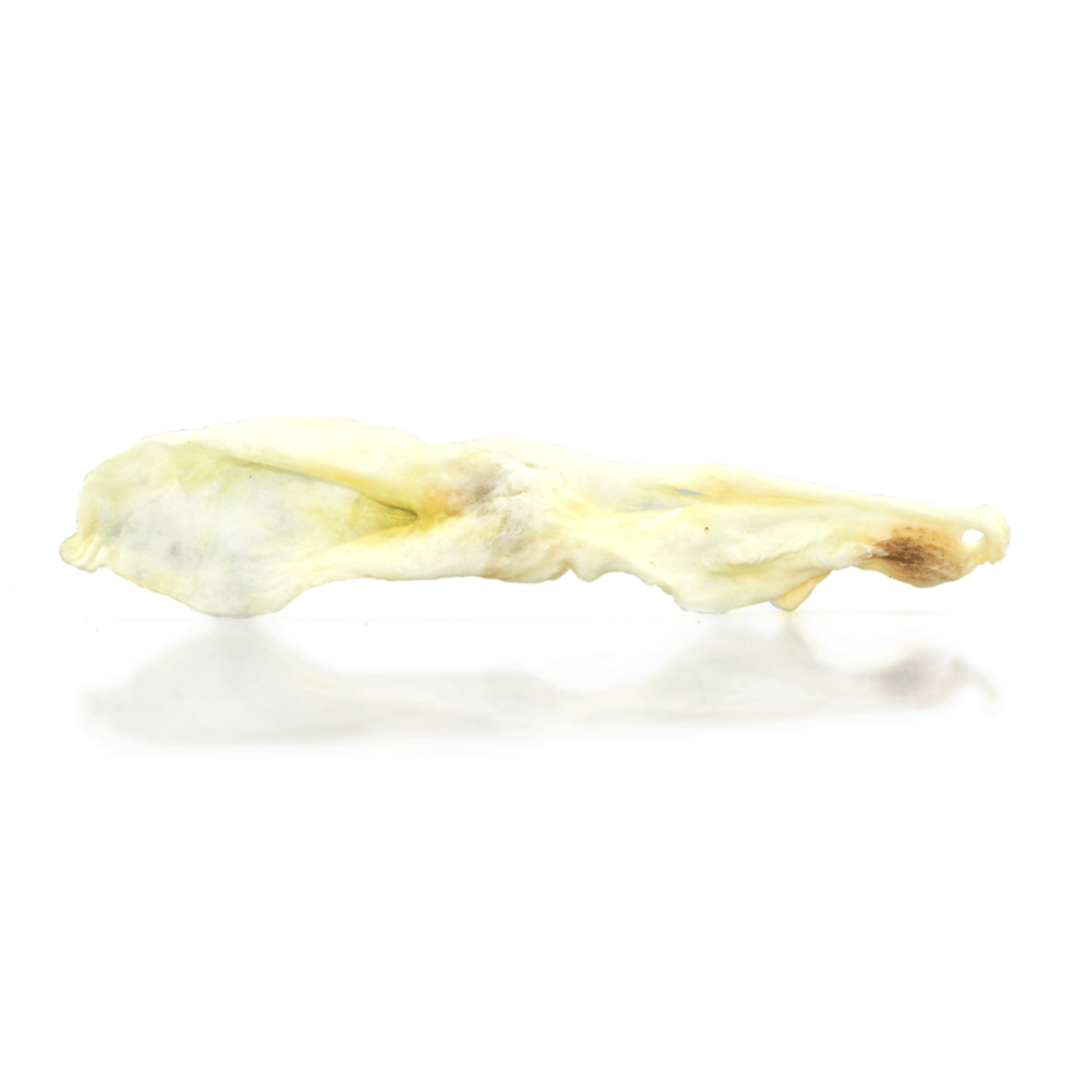 Rabbit Ears for Dogs (100g) – The Woof Club